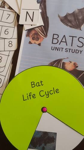 Bat Unit Study | 64 Page Homeschool Nature Study | Classroom Learning Pack