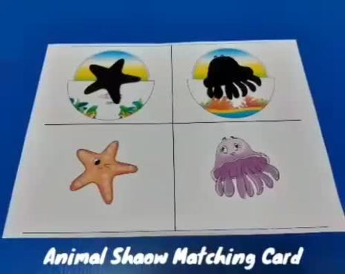 Animal Shadow Matching Cards by NEW IDEA Teaching Materials | TPT