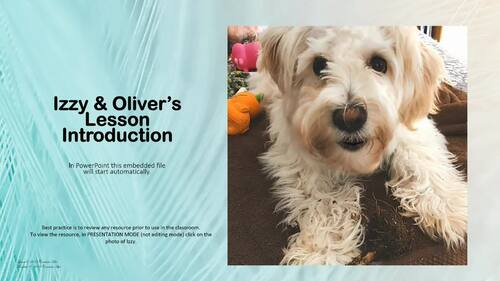 Ready 2 Use NO PREP Book-based SEL LESSON UPSTANDER Bullying Prevention ...