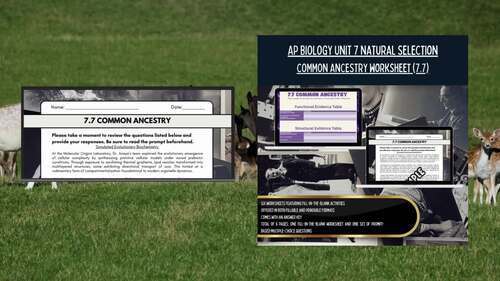 AP Biology UNIT 7 Natural Selection 7.7 Common Ancestry Digital Worksheet