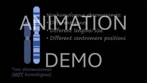 Life Cycles PowerPoint Presentations Bundle by Essential STEM Store