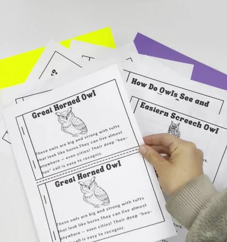 All About Owls Unit | Mini Book, Owl Crafts, Writing Prompts & Games ...