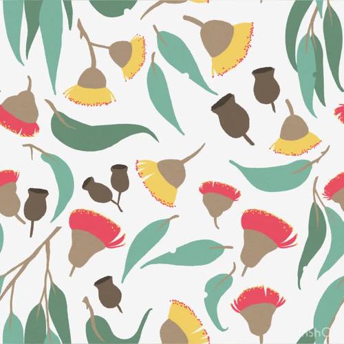 Australian Flora Labels/ Frames in PDF and PPT by E-Sensei | TPT