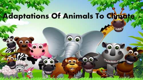 Adaptation of Animals to Climate Powerpoint by Cutemathematician