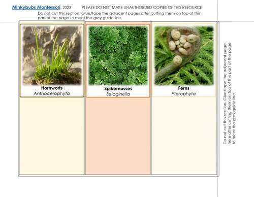 Montessori Botany Growing Mega Bundle ALL Botany in My Store Age 6 - 12