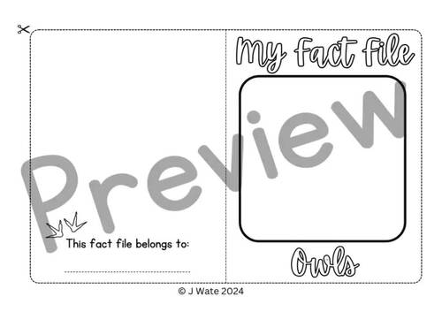 Bird Research Project | Owls Report Writing Templates | Fact File ...