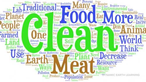 What is Clean Meat? | Boom™ Learning Cards | Environmental Earth ...