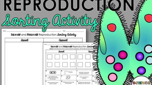 Sexual and Asexual Reproduction Sorting Activity Worksheet in Print and ...