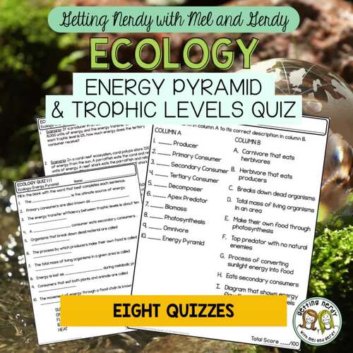 Ecology | Ecosystems | Energy Pyramid & Flow | Trophic Levels | Quiz ...