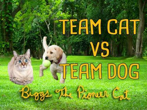 Biggs the Pioneer Cat: Team Cat vs. Team Dog Video by Leslie Grubb