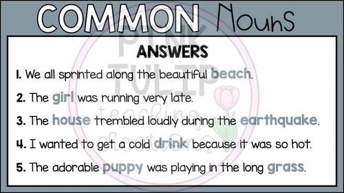 Types of Nouns PowerPoint - Guided Teaching by Pink Tulip Teaching ...