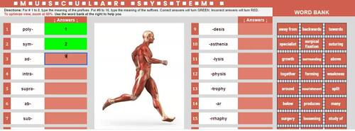 Muscular System Medical Terminology Prefixes Suffixes by Abaco ...