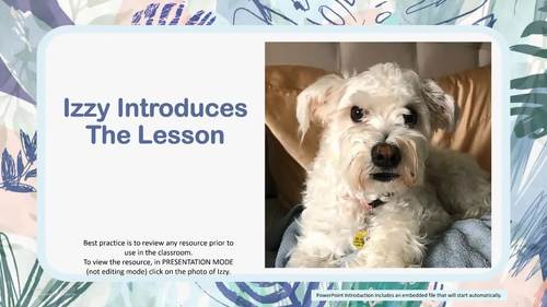 Ready to Use No Prep MINDFULNESS EMPATHY SEL LESSON 2 Video & Activity PBIS