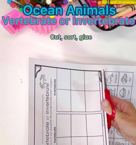 Ocean Animals Sort: Invertebrate Vertebrate Sort | Classify Ocean Animals