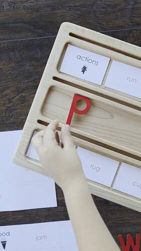 Modern Montessori Reading SOR CVC categorizing words by Montessorikiwi