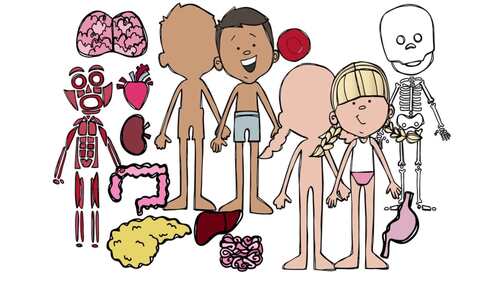 Body Systems clipart digi stamps {Simply Sweet} Melonheadz Clipart