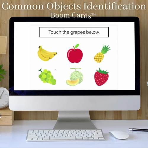 Common Objects Identification - Boom Cards™ by Suzuki Speech Therapy