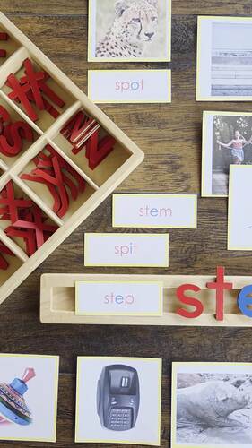 Modern Montessori Reading SOR CCVC Picture to Word Match by Montessorikiwi