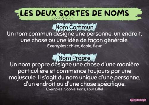 Le nom - Leçon by Atelier des Mots | TPT