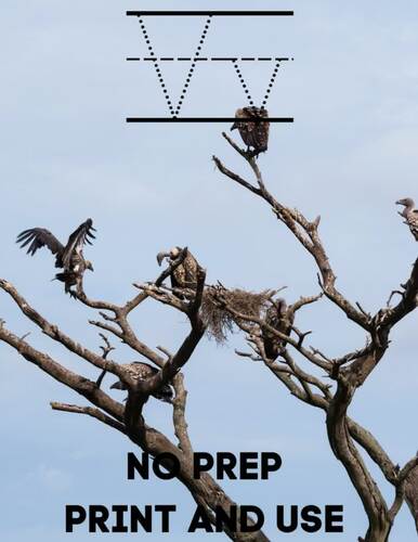 Alphabet Fun: ABC Adventures with Multiple Activities per Letter for ...