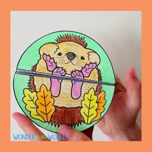 Life cycle of a hedgehog mammal sequencing cut and paste activity ...