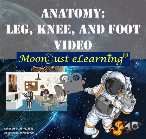 Anatomy: Leg, knee, and Foot Bones - VIDEO by MoonDust eLearning LLC