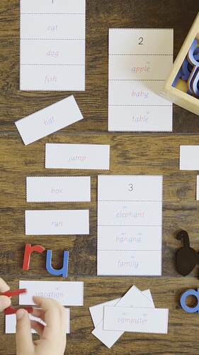 Modern Montessori Reading SOR syllable sort with schwa sound words
