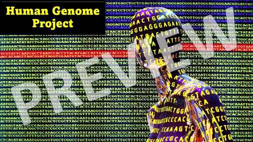 Biotechnology 2-Lesson PowerPoint (& FREE Guided Notes) for Biology, NEW!