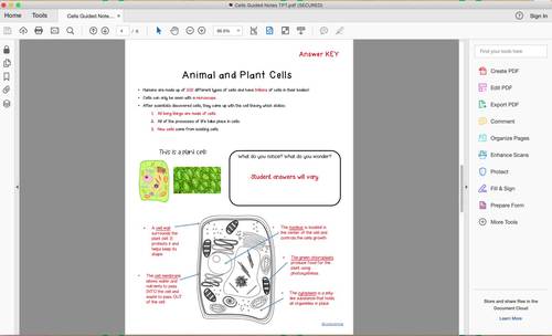 Plant and Animal Cells Lesson and Notes - Cells Activities by Love Learning