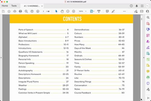 A1 ESL ENTIRE BEGINNERS SUPER MEGA BUNDLE by ESL Class Workshop | TPT
