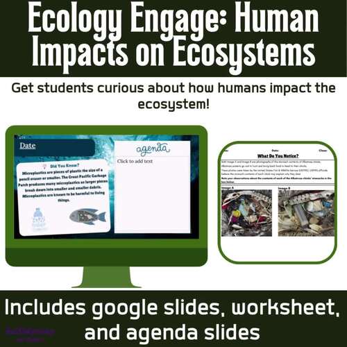 Ecology Human Impacts Worksheet with Slides + Agenda Slides + Earth Day ...