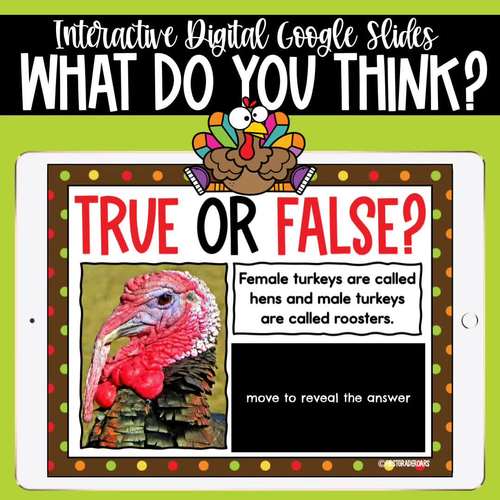 Turkey Activity True or False Nonfiction Interactive Google Slides