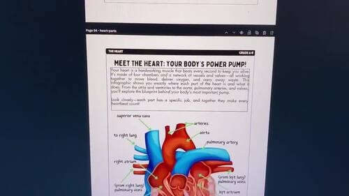 The Heart Circulatory System, Life Science sub plans, labeling, worksheets