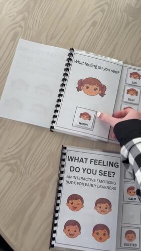 Emotion Matching Book for Preschool | Interactive Feelings Activity ...
