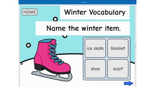 Winter Wonderland Language BOOM™ Cards | WH Questions, Vocabulary ...