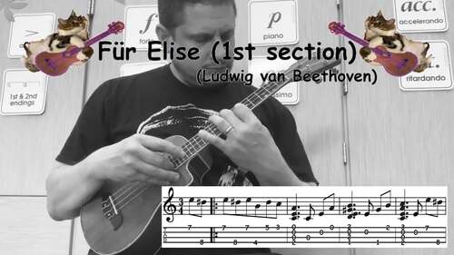 Beethoven's Fur Elise Ukulele Arrangement Sheet Music and Tabs! | TPT