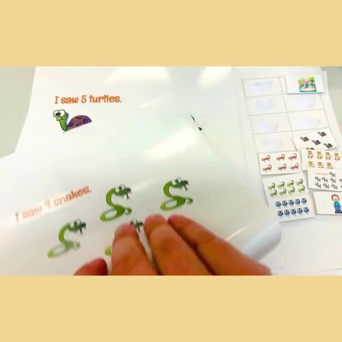 Summer Adapted Book Bundle Special Education Reading Comprehension ...