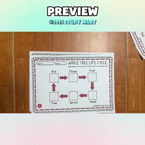 Apple Tree Life Cycle Cut and Paste Activity | Plant Science Worksheet Pack