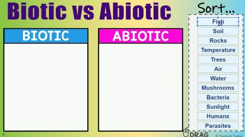 Ecology: Ecosystems ~Interactive Digital Resource for Google Drive~ Biomes