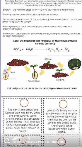 Pumpkin Life Cycle worksheet (for Fall or Thanksgiving, etc.) | TPT