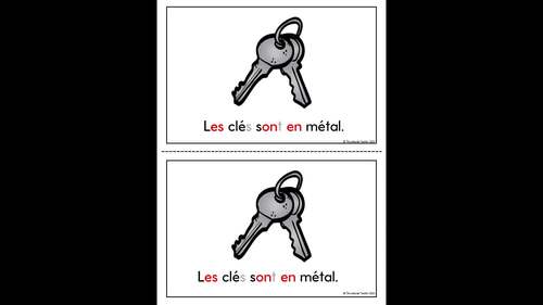 French Decodable Readers for Science | French Books for Materials and ...