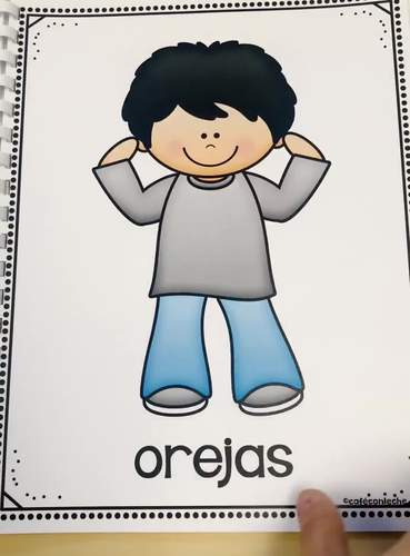 Cabeza Hombros Rodillas Y Pies Head Shoulders Knees And Toes Song In