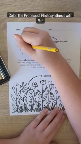 Middle School Life Science: Photosynthesis Activity - Color and Answer