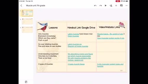 Online Teaching UNIT PLANNER FORM Distance Learning SUCCULENT THEME