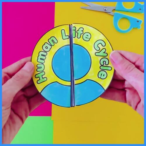 Human life cycle stages of growth sequencing cut and paste activity and ...