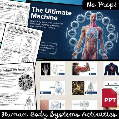 Human Body Systems Activities Elementary Science Worksheets Body ...