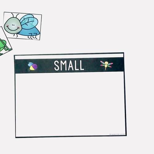 Insects Study Size Sorting Activity | Preschool Kindergarten | TPT