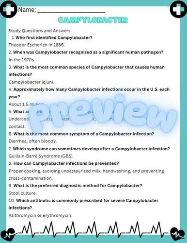 Campylobacter Doodle Notes, Study Guide, and Review | Health | TPT