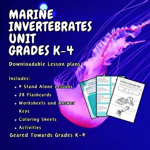 Marine Invertebrates Unit (Grades K–4) by SeantistsClassroom | TPT