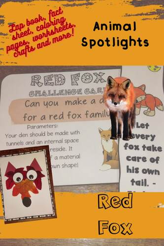 Red Fox - Animal Spotlights - Fox Unit Study - Homeschool science, Fall ...